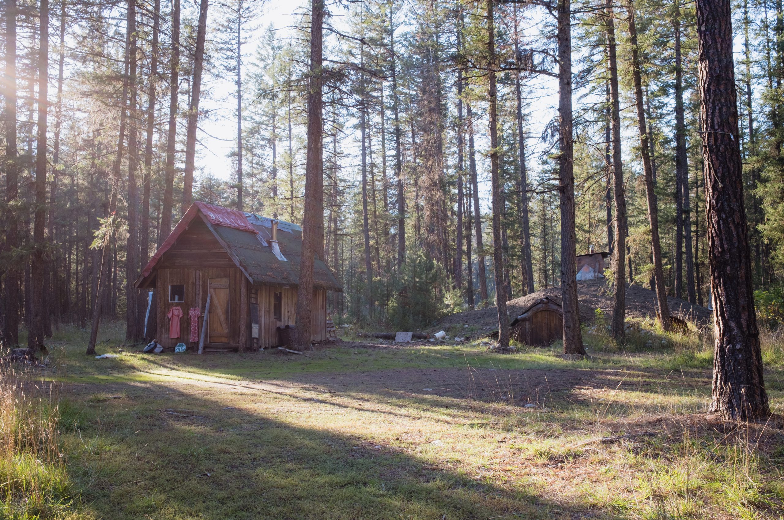 Autonomous Sinixt - About